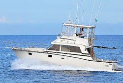 38' Bertram Fishing Boat Rental, Puerto Vallarta
